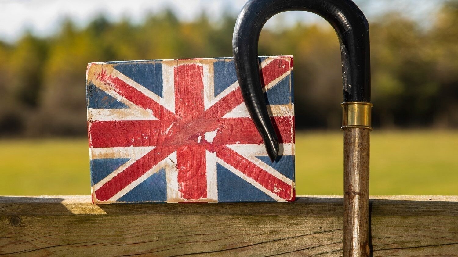 Petition · Integrating Rural Roots Education for a Sustainable future ...