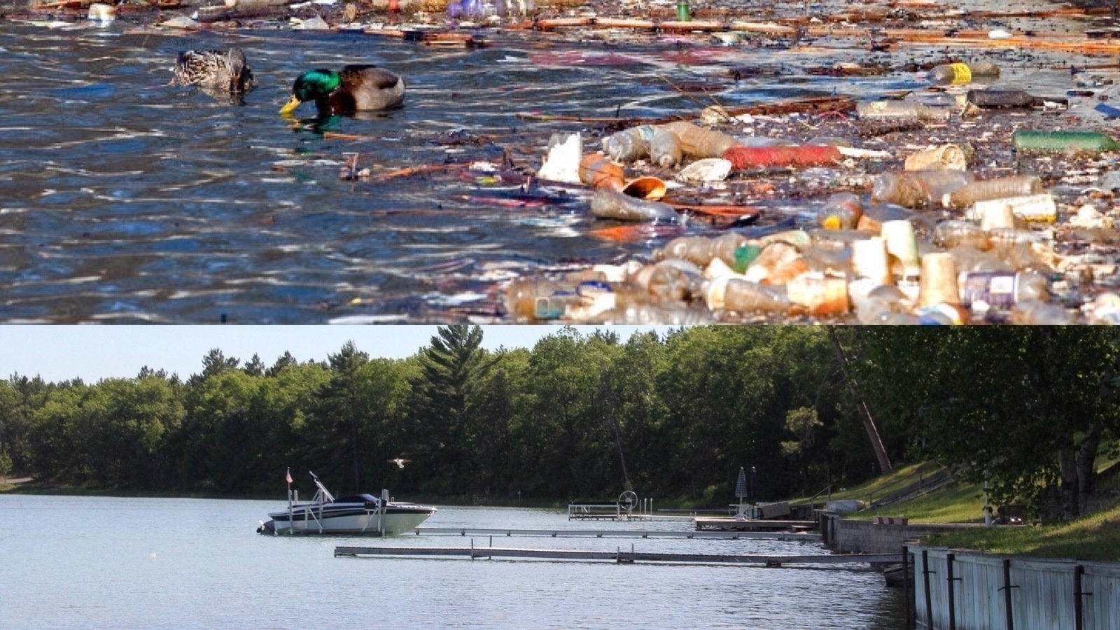 Petition · Place higher regulations on laws preventing water pollution ...