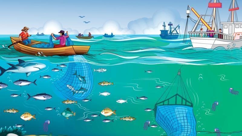 Petition · Inclusion of Ecosystem Based Fisheries Management in ...