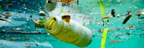 Petition · Stop Pollution, Overfishing, and Bycatch before its too late ...