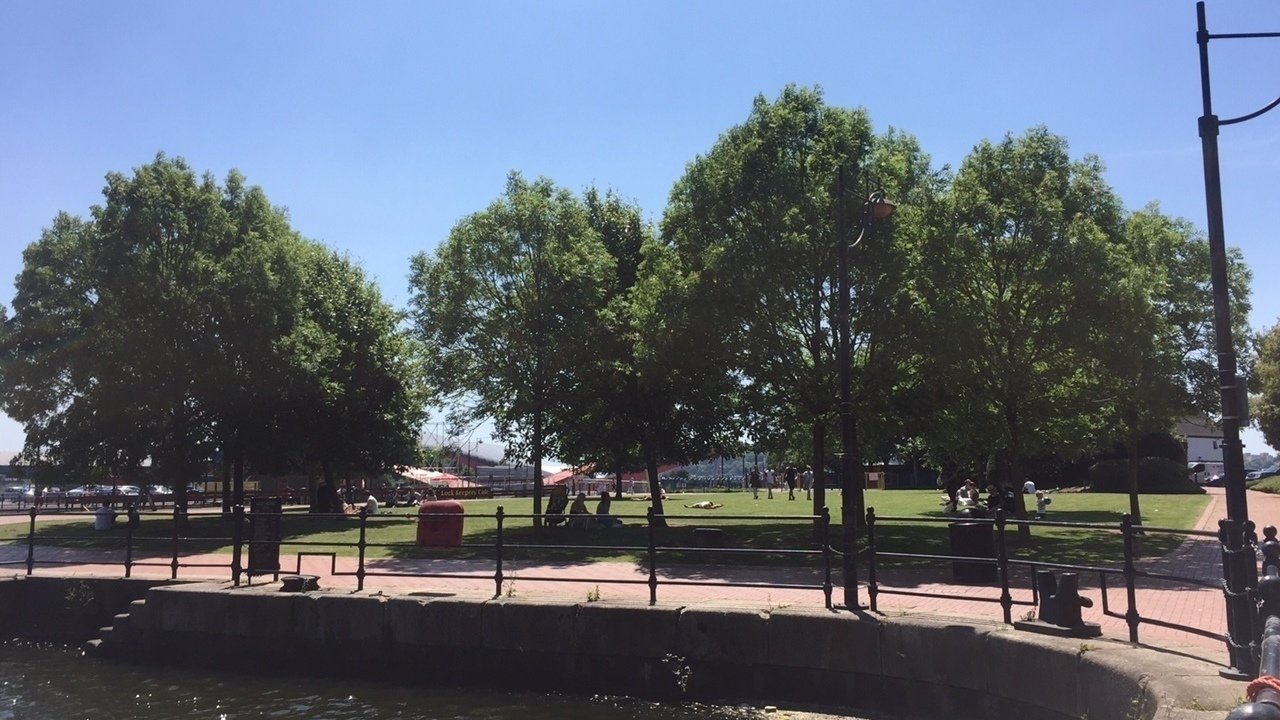 Petition · Save Cardiff Bay's Last Green Space - Cardiff, United ...