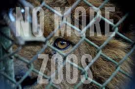 Petition · To close zoos & Protect animals from harm! · Change.org