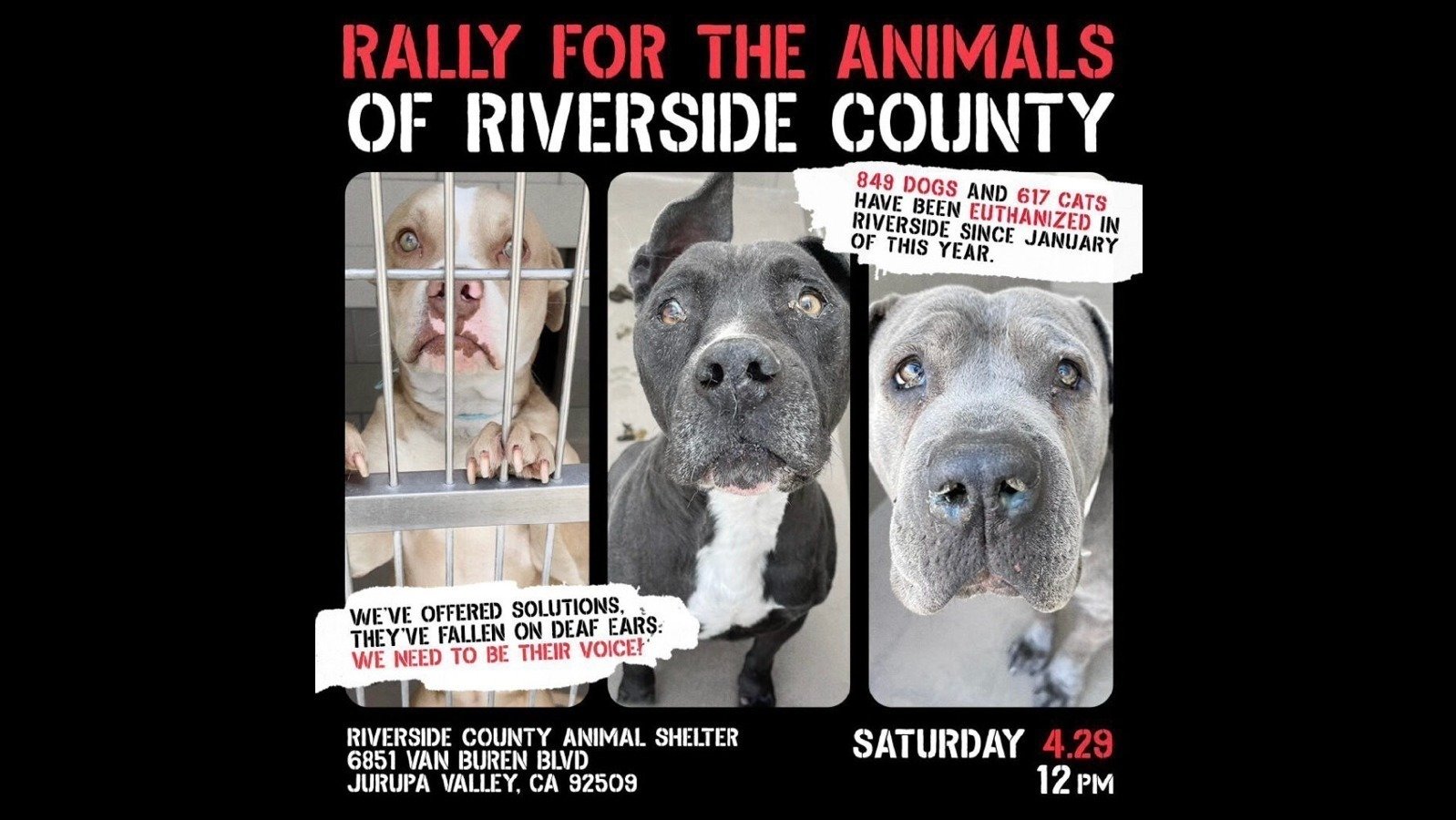 Petition update · Please JOIN the RALLY for Riverside Animal Shelter ...