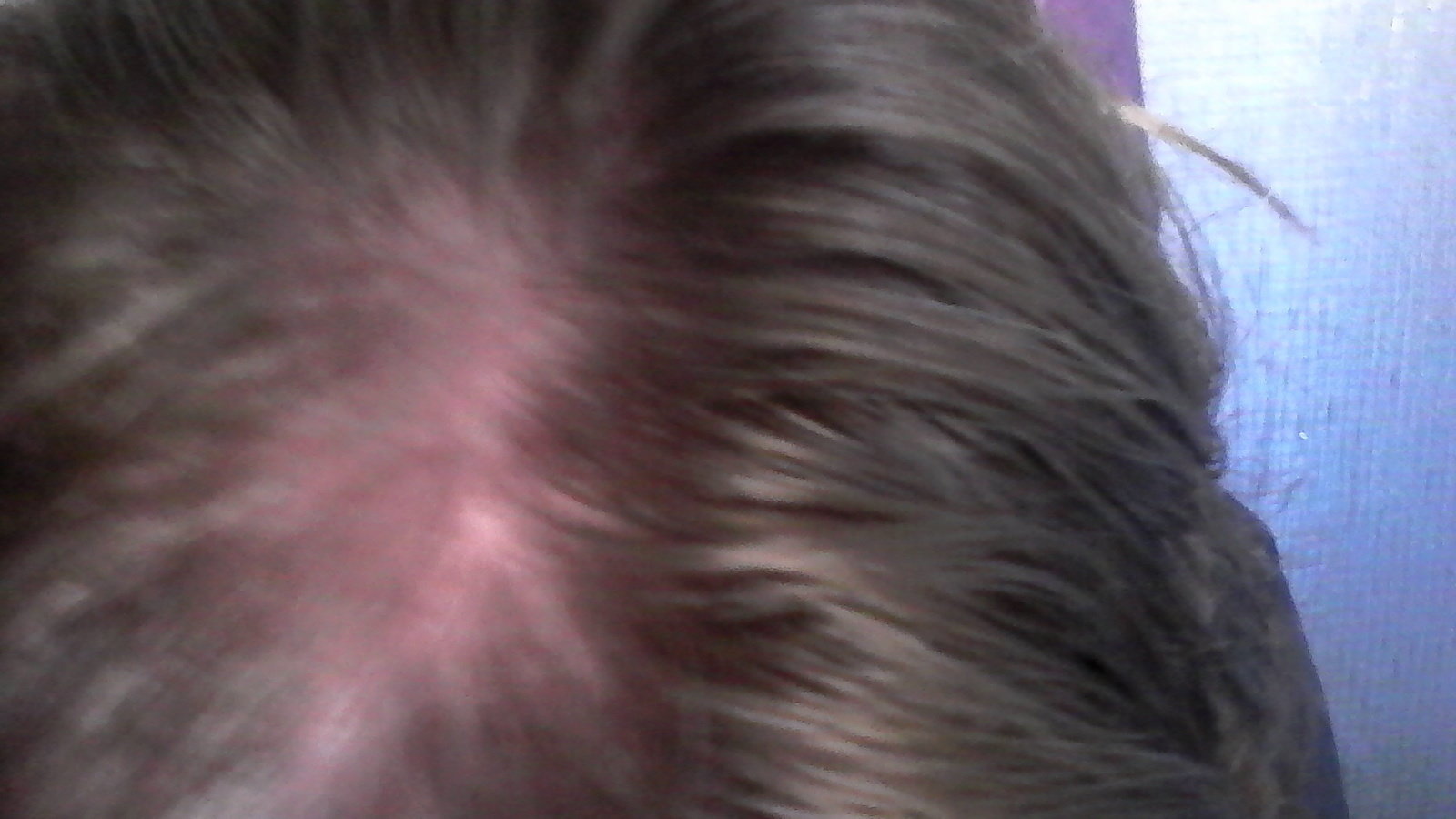 Petition · Calls for Royal Commission into systemic Abuse Stop child ...