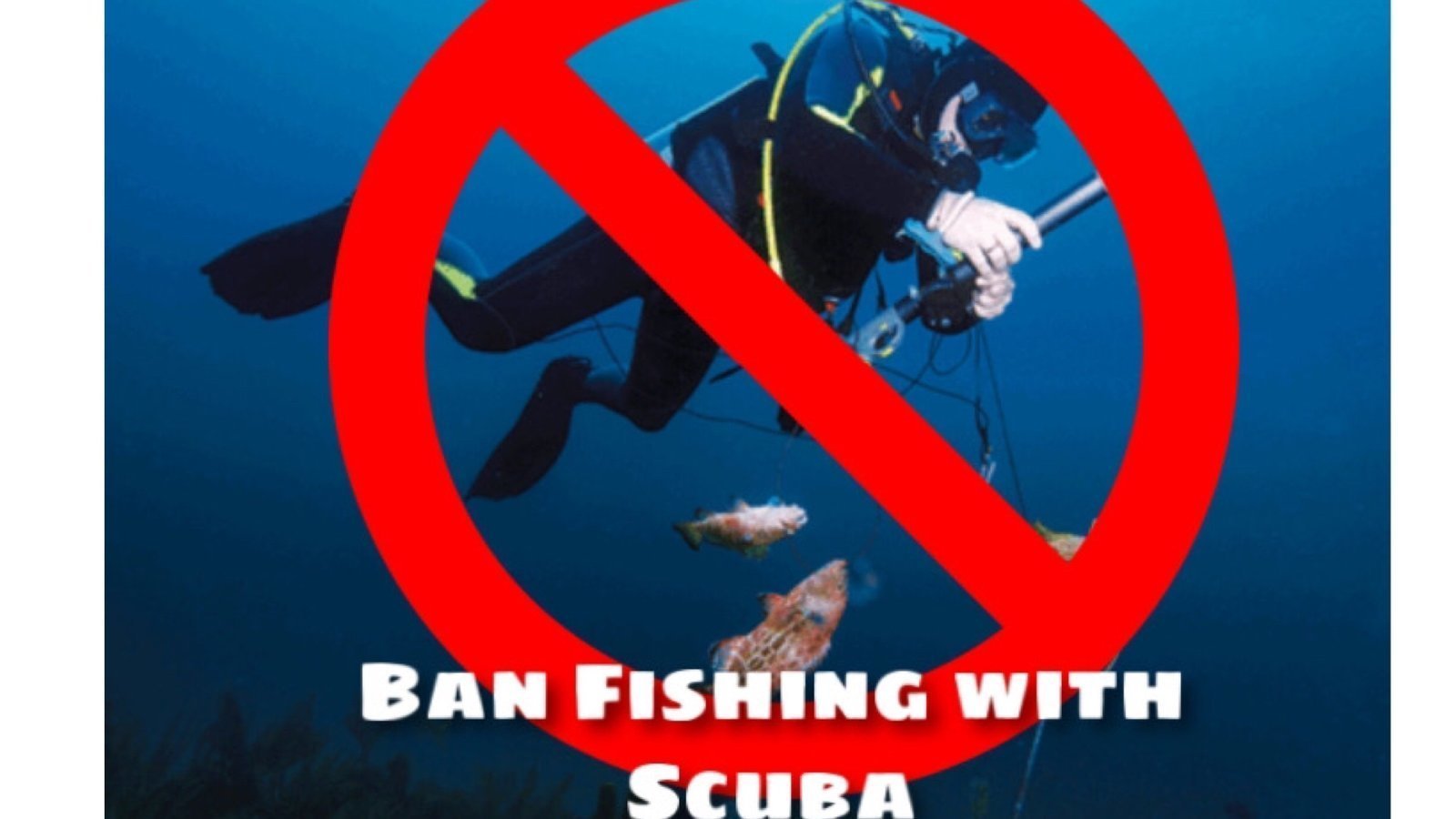 Petition · Sustain Fish Populations: Ban Fishing with Scuba - Guam ...