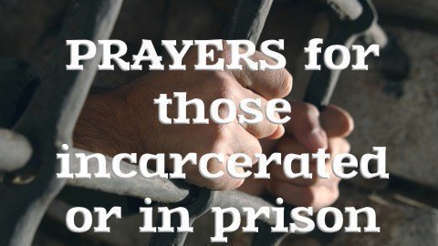 Petition · Decarcerate; release sek nonviolent inmates b4 its too late ...