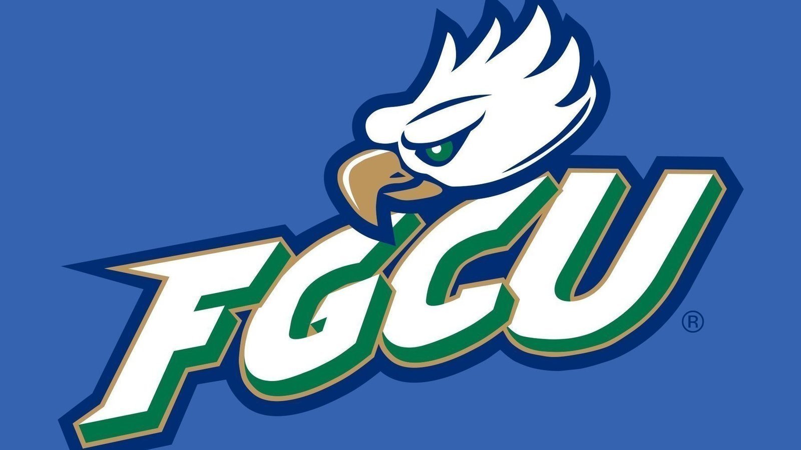 Petition · FGCU Class of 2021 Graduation Ceromony - United States ...