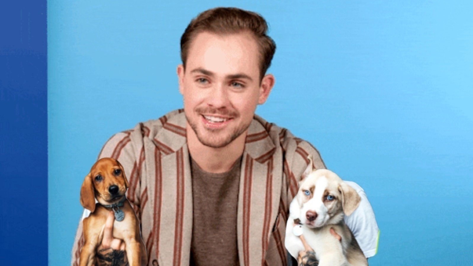 Petition · Buzzfeed’s “playing with puppies interview with Dacre ...