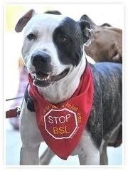 Petition · HELP STOP BSL AROUND THE WORLD - United States · Change.org