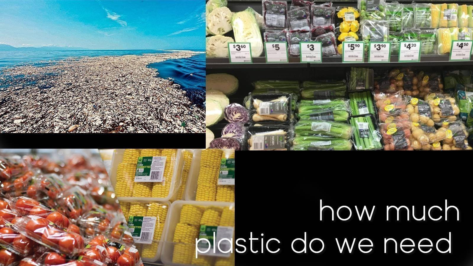 Petition · Plastic Food - Australia · Change.org