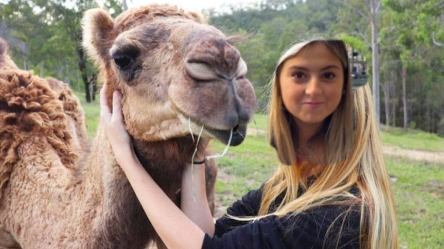 Petition · Help Ava Get A Pet Camel - United States · Change.org