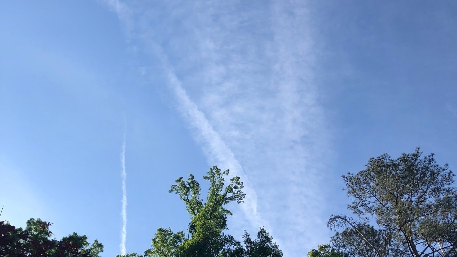 Petition · No more Spraying our sky’s - United States · Change.org