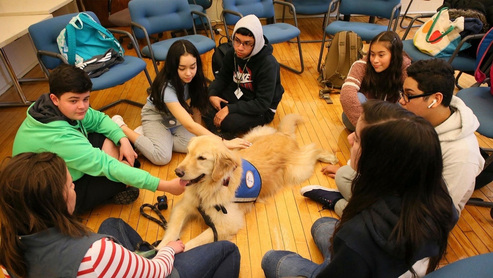 Petition · Therapy Dogs at School - Kasson, United States · Change.org
