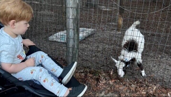 Petition · Grant Legal Protection for Established Pet Goats in R1 Zoned ...