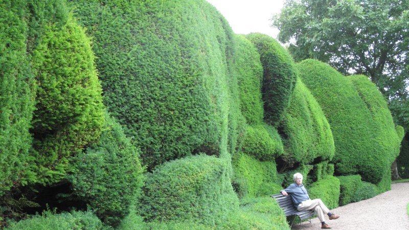 Petition · Plant a hedge - US-Canada Border - Australia · Change.org