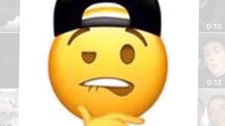 Petition · Petition to get Apple to make this a real emoji - United ...