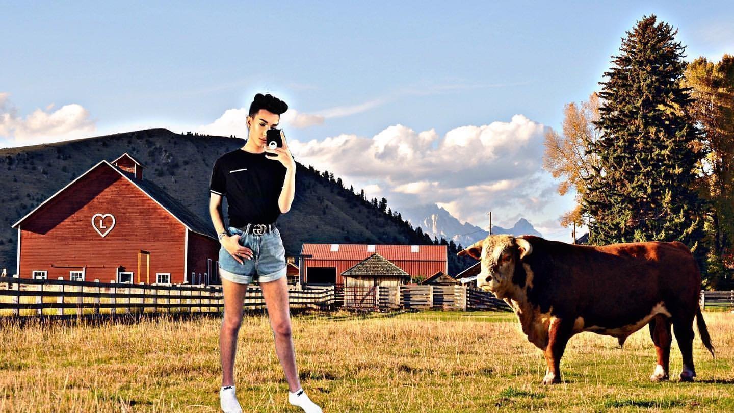 Petition · Send James Charles to The Dr. Phil Ranch - United States ...