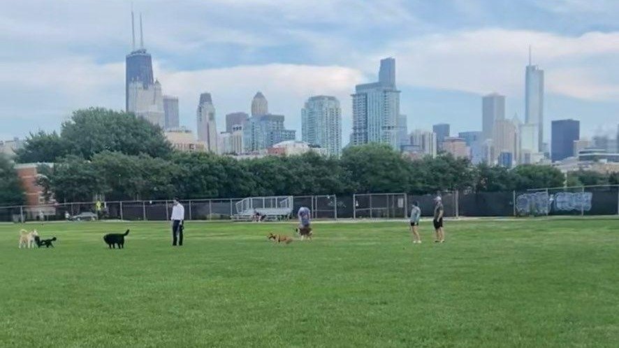 Petition · Recognize the Old Town Dog Park at 1514 N. Larrabee - United ...