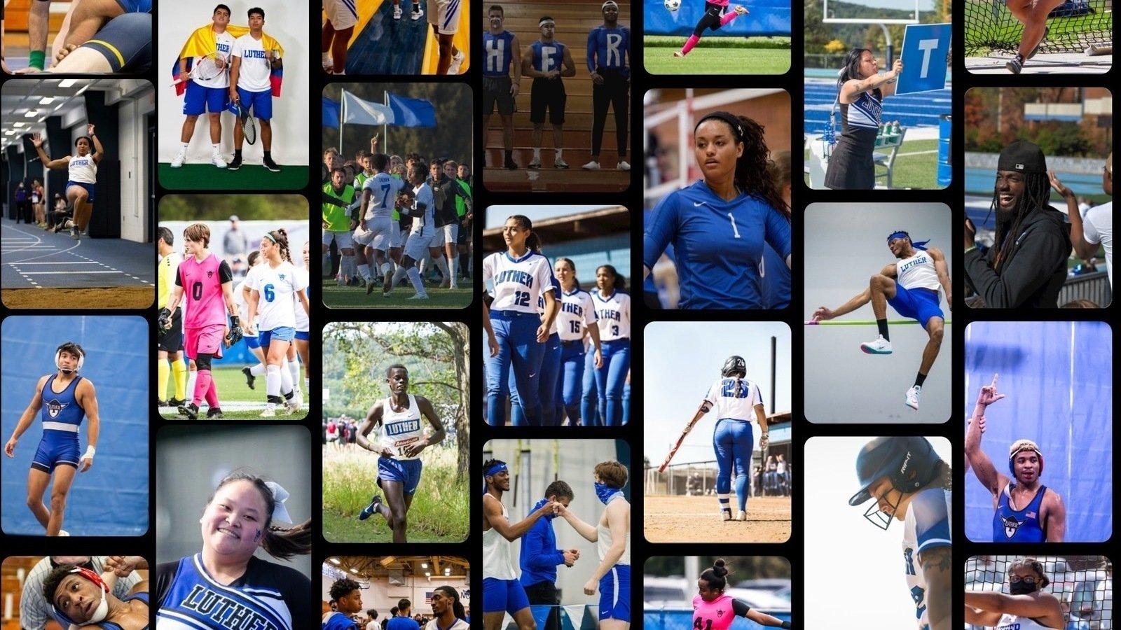 Petition · Equal representation of diversity in Luther Colleges ...