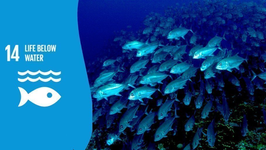 Petition · Accelerate the prevention and reduction of plastic pollution ...