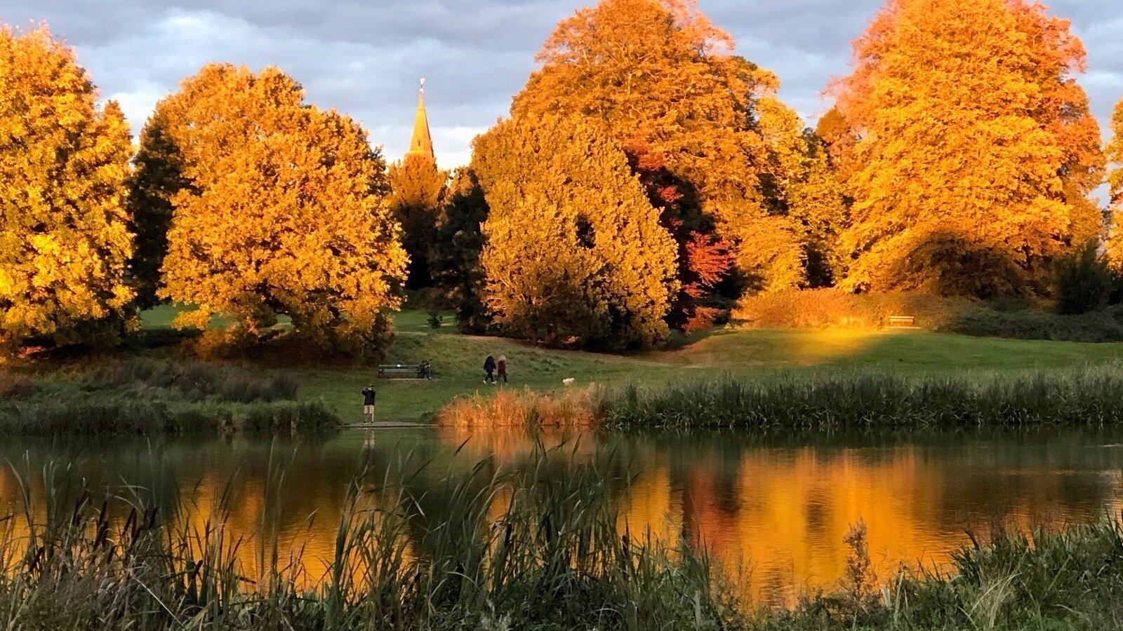 Petition · Call for a Full Public Consultation on The Proposed Cycle ...