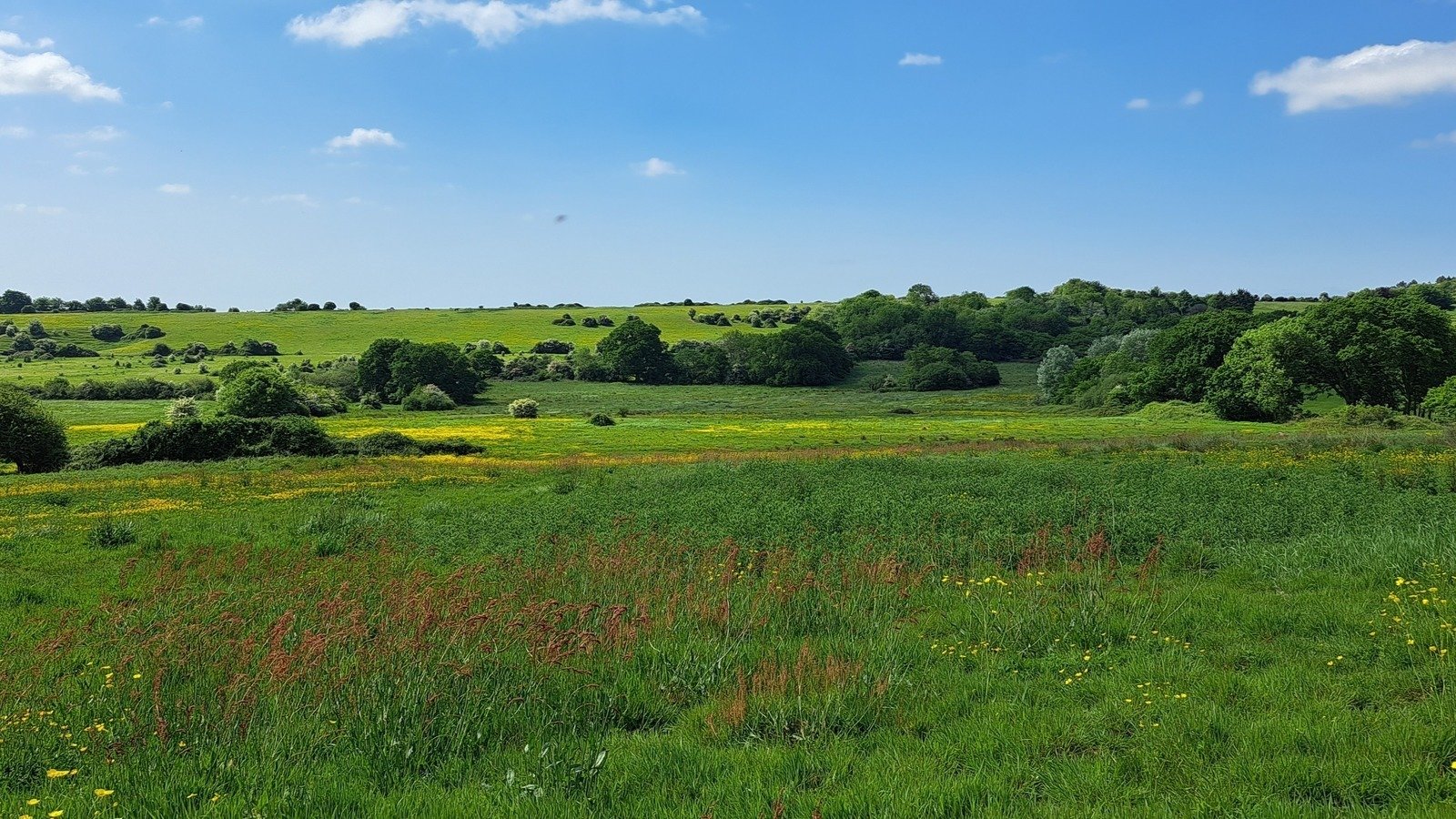 Petition · LOSS OF BEAUTIFUL HABITAT HELP ME STOP THAT - United Kingdom ...