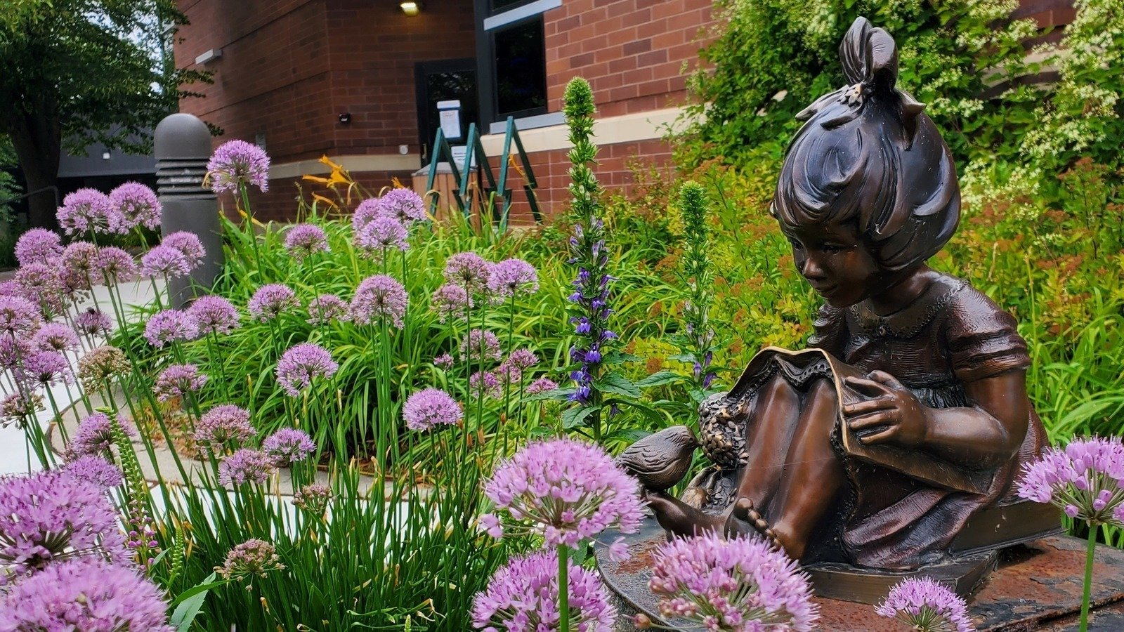 Petition · Save Beltrami Libraries. No cuts! - United States · Change.org