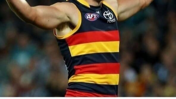 Petition · Demand the Dismissal of Matthew Nicks as Adelaide Football ...