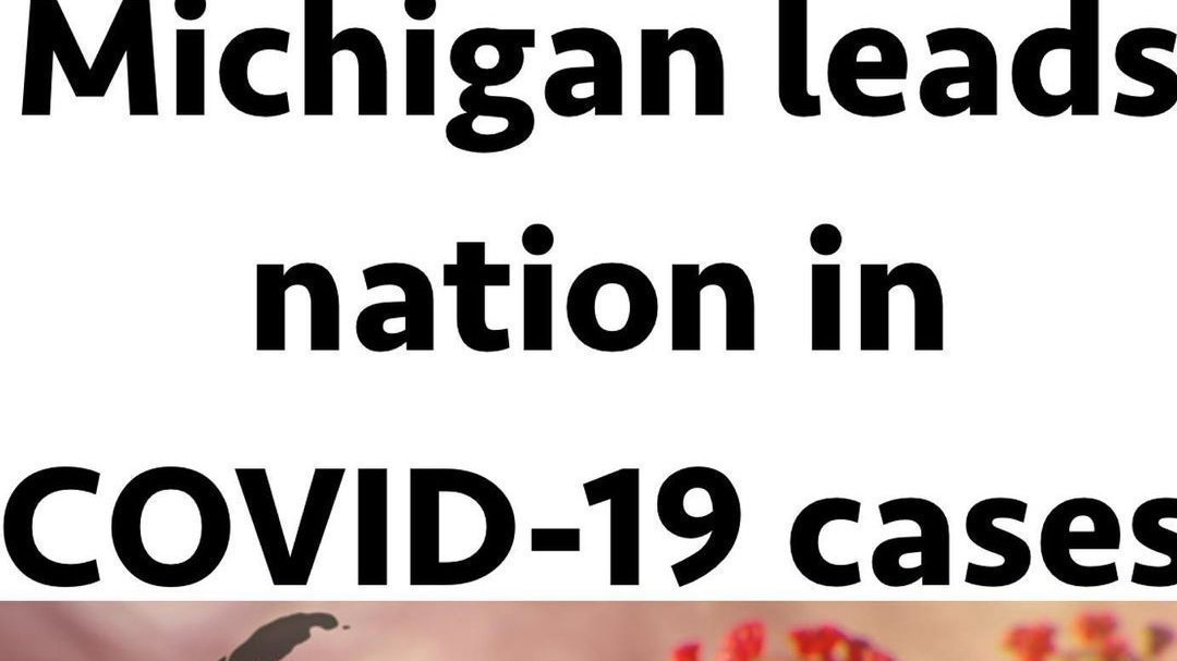 Petition · Online For Students Safety- UMD - United States · Change.org