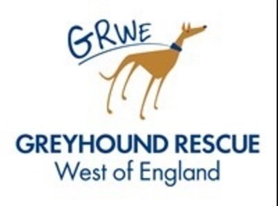Greyhound Rescue West of England · Change.org