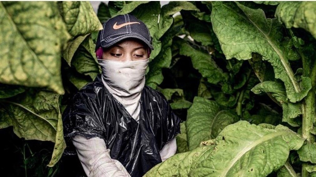 Petition · End child labor in America - United States · Change.org