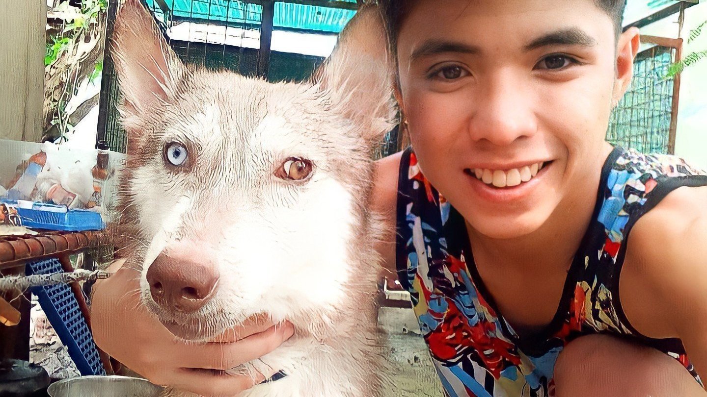 Petition · Provide shelters for stray dogs - Philippines · Change.org