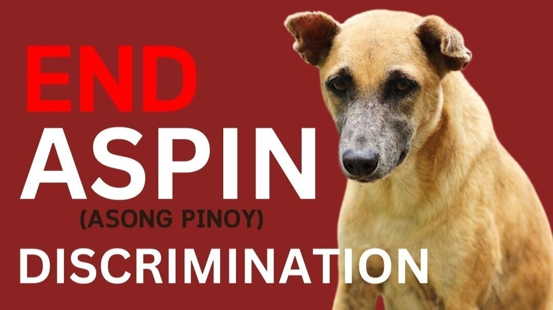 Petition · Petition to End Aspin Discrimination: No More Breed Bias ...