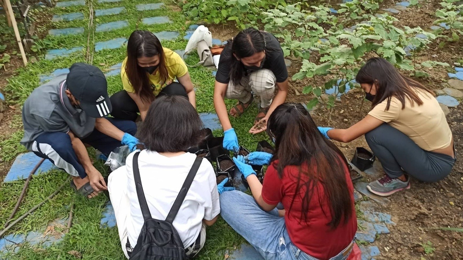 Petition · Every home should have a nurtured plant or tree ...