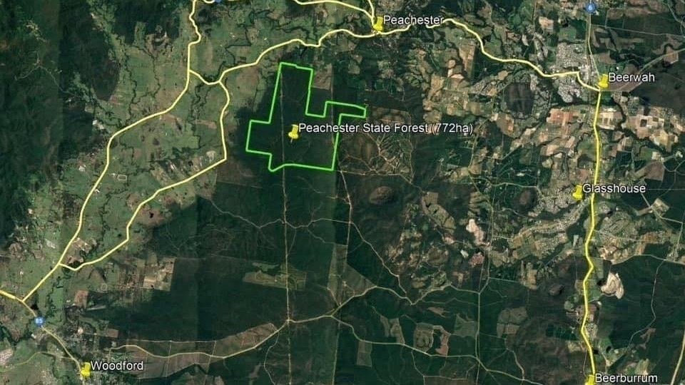 Petition · Save Peachester & Luttons State Forest - Australia · Change.org