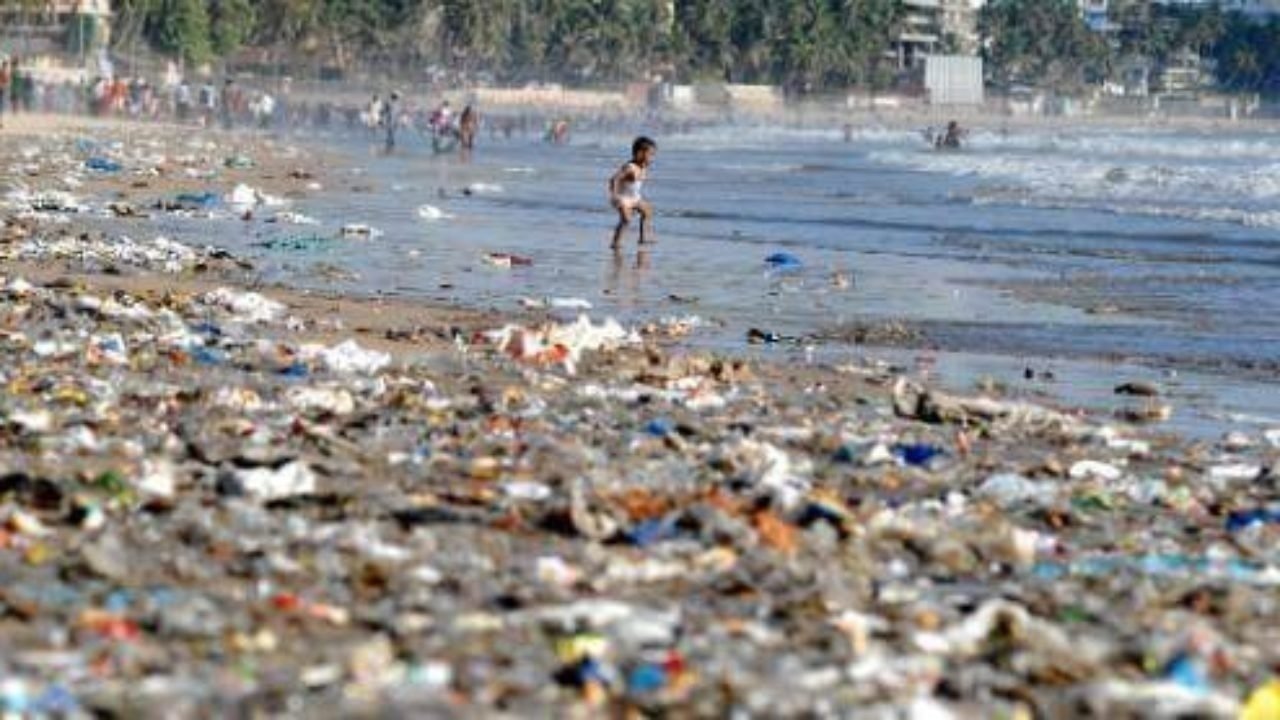 Petition · improving pollution by adding orange dumpster containers ...