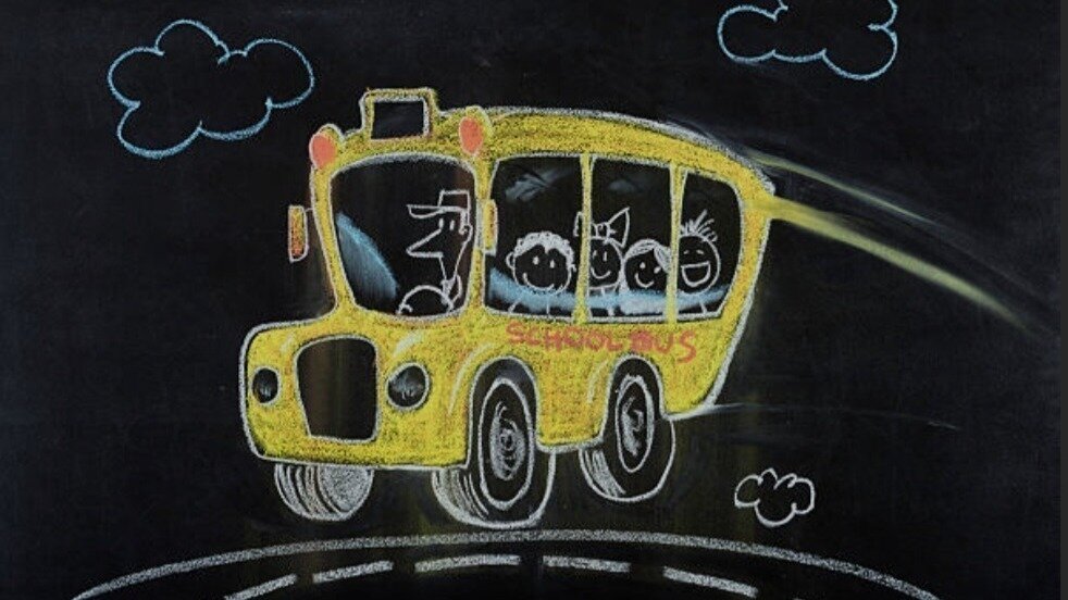 Petition · Implement CCTV on All School Transport for SEN and Disabled ...