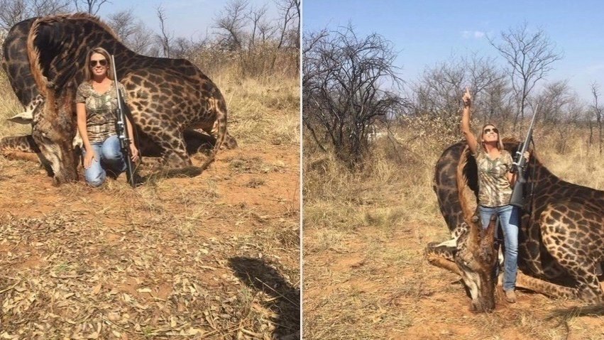 Petition · Help me to Stop Trophy Hunting in South Africa - United ...