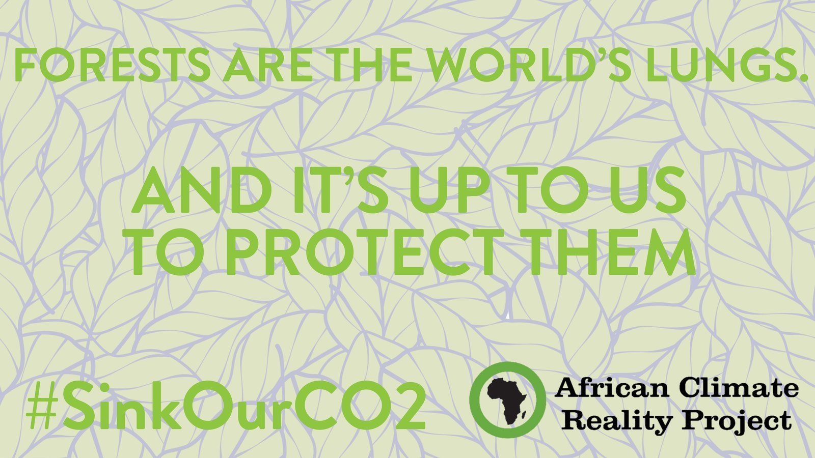 Petition · Save the Congo basin peatlands from oil exploration and ...