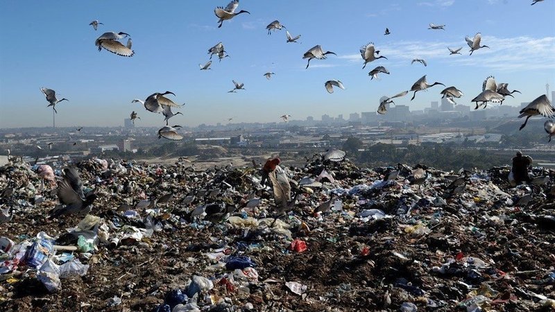 Petition · A Johannesburg where recycling is part of one's daily agenda ...