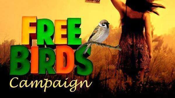 Petition · Free Birds Campaign - India · Change.org