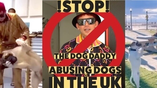 Petition · Stop dog abuser "The Dog Daddy" coming to the UK - United ...