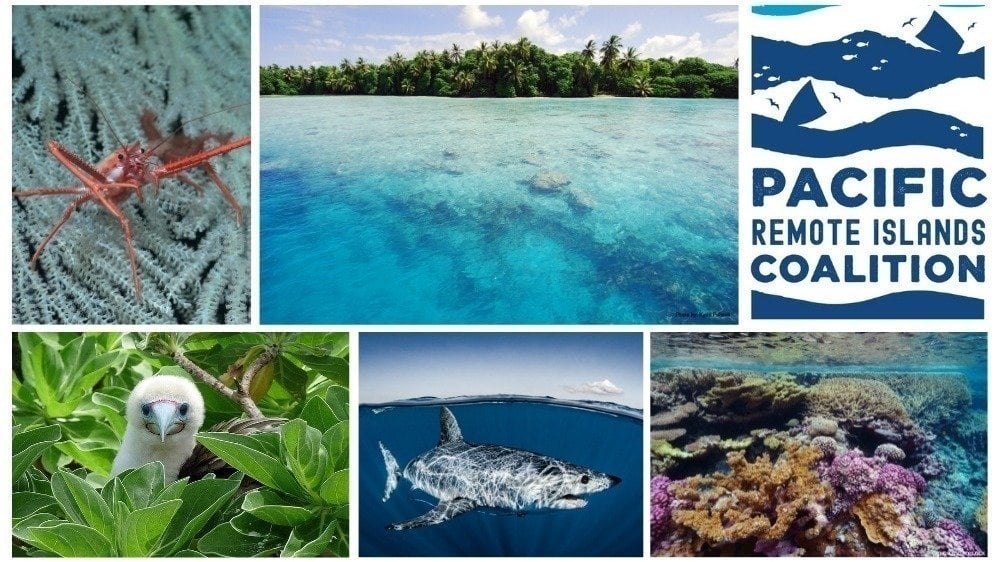Petition · Protect the Pacific Remote Islands - United States · Change.org
