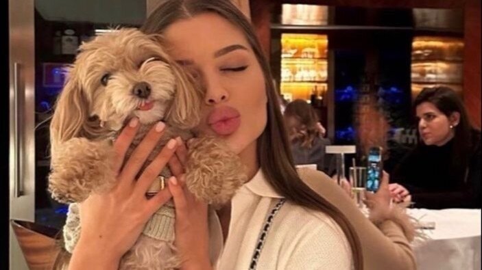 Petition · GET AVA A DOG - United Kingdom · Change.org