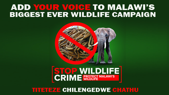 Petition · Say NO to ivory - Malawi · Change.org