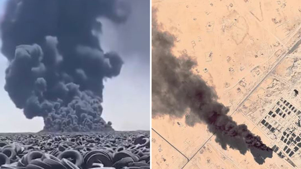 Petition · Save Kuwait's Environment - Kuwait · Change.org