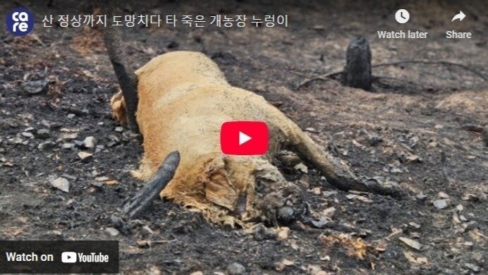 Petition · END DOGS BURNING ALIVE: Demand Arizona Condemn Cruelty in ...