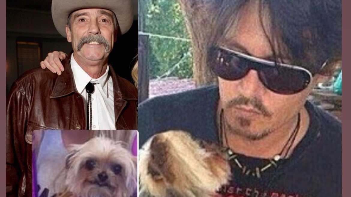 Petition · What did you do with Johnny Depp’s dog BOO, David Heard ...