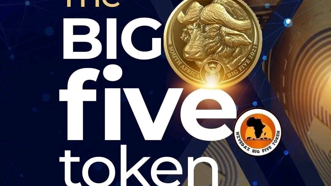 Petition · #Thebigfivetoken - South Africa · Change.org