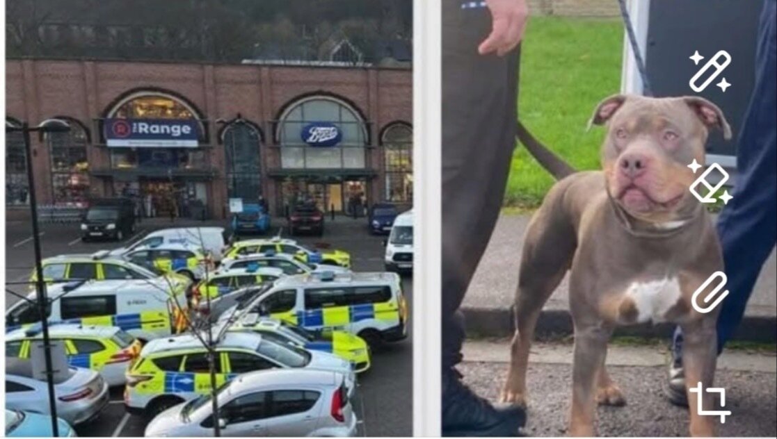 Petition · Save my dog - United Kingdom · Change.org